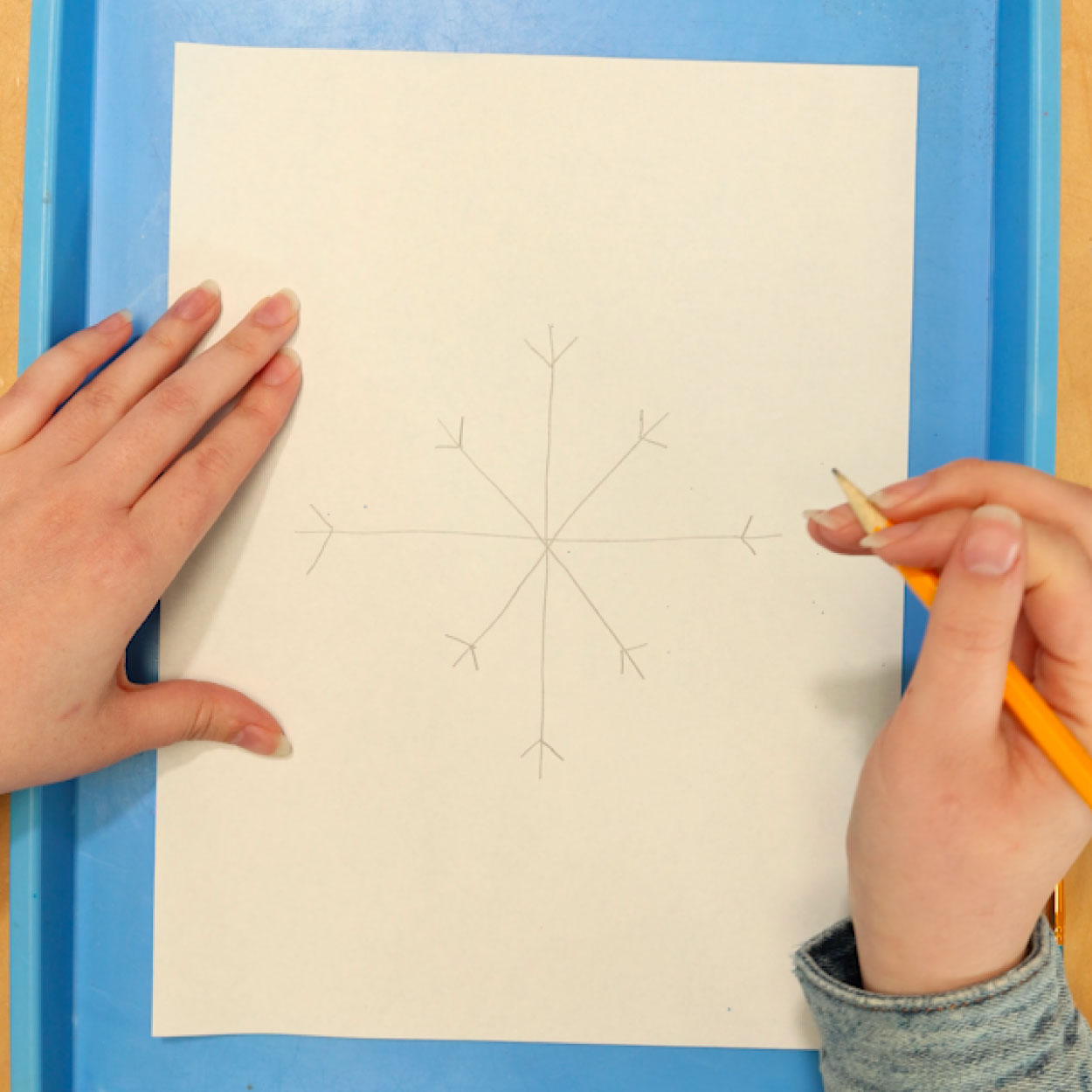 STREAM Activity: Salt Snowflake - Children's Museum of Discovery